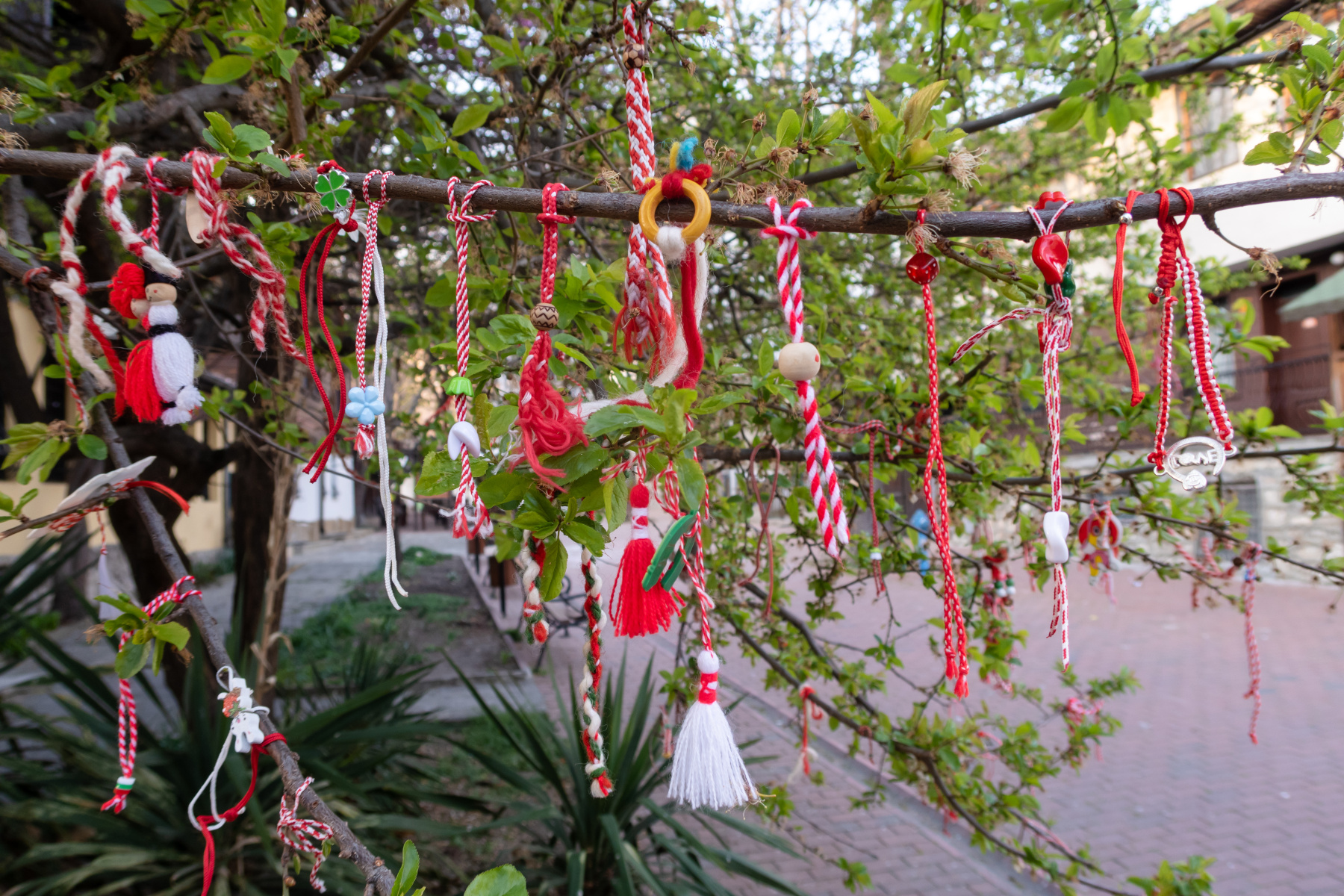 Chestita Baba Marta ! | ESFAM-AUF